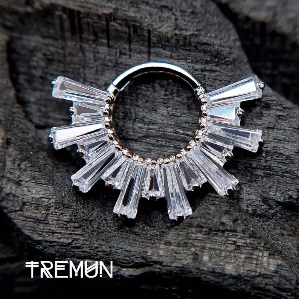 Amanda Titanium Hinged Ring 16G | Tremun Piercing