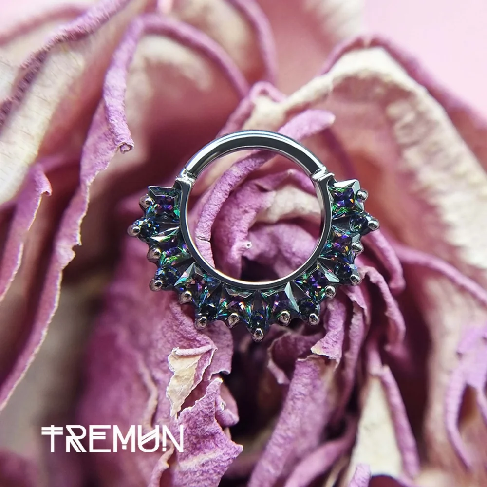 Shelly Vitrial CZ Hinged Ring – Titanium Body Jewelry